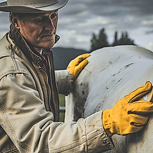 Wells Lamont Leather Work Gloves for Men, Reinforced Cowhide with Palm Patch, Saddletan, Medium (1129M)