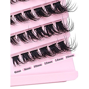 DIY Lash Extension Kit Fluffy Flat Lash Clusters with Kit Lash Bond and Seal and Cluster Eyelashes Applicator Tool D Curl Eyelash Extension Kit Individual Lashes Cluster by FANXITON