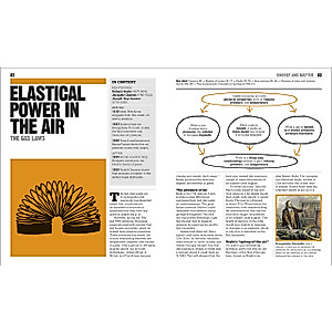 The Physics Book: Big Ideas Simply Explained (DK Big Ideas)