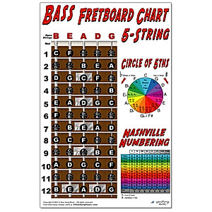 5 String Bass Fretboard Poster - Nashville Numbering System, Circle of 5ths, Notes Instructional Chart | A New Song Music | 11x17