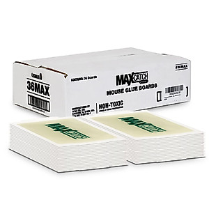 Stuff-fit Copper Mesh for Pest Control + Catchmaster Pest Glue Traps (36 Count)