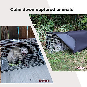 Live Animal Trap Cage with Cover, Cat Trap for Stray Cats 32 Inch Heavy Duty Folding Skunk Trap with Real Door for Raccoons, Opossums, Groundhogs, Skunks, Feral Cats, Squirrels-2 Packs