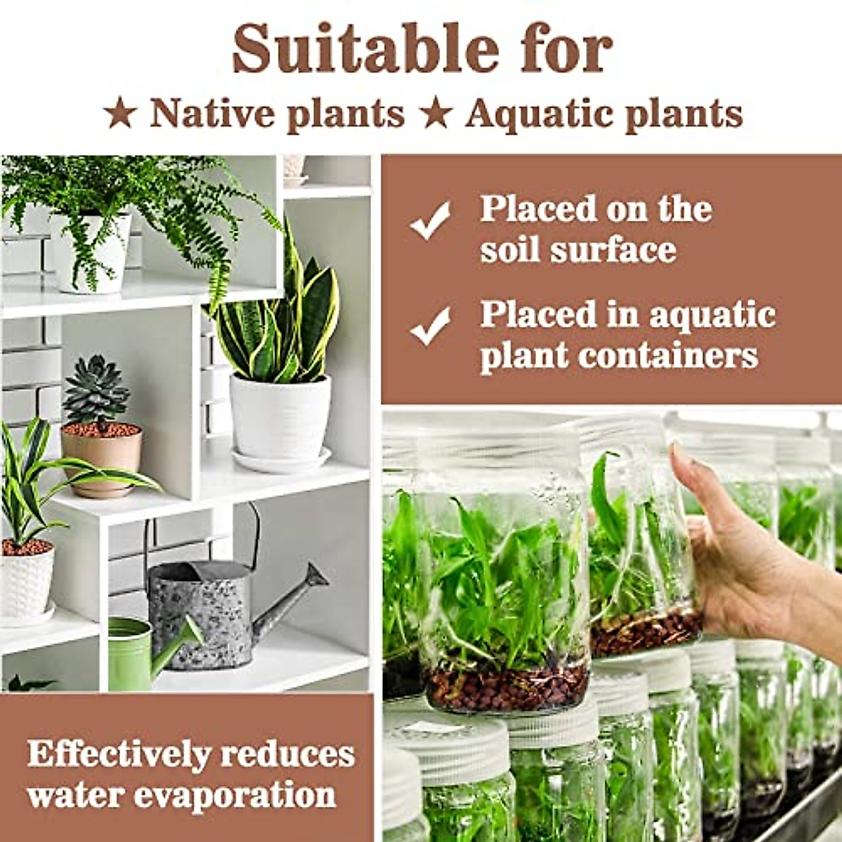 Sukh Clay Pebbles for Plants - Pebbles for Indoor Plants 100% Natural Clay, Used for Drainage, Decoration, Aquaponics, Hydroponics and Other Gardening Essentials Hydroton Small Pebbles Leca for Plants