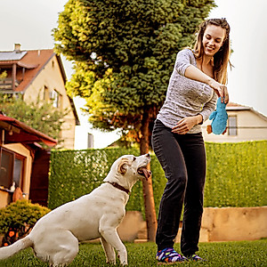 Alphatool Squeaky Dog Toys, Duck Dog Toys for Aggressive Chewer, Tough Plush Dog Toys for Large Dogs, Crinkle Interactive Puppy Dog Toys for Small Medium Dogs (3pcs)