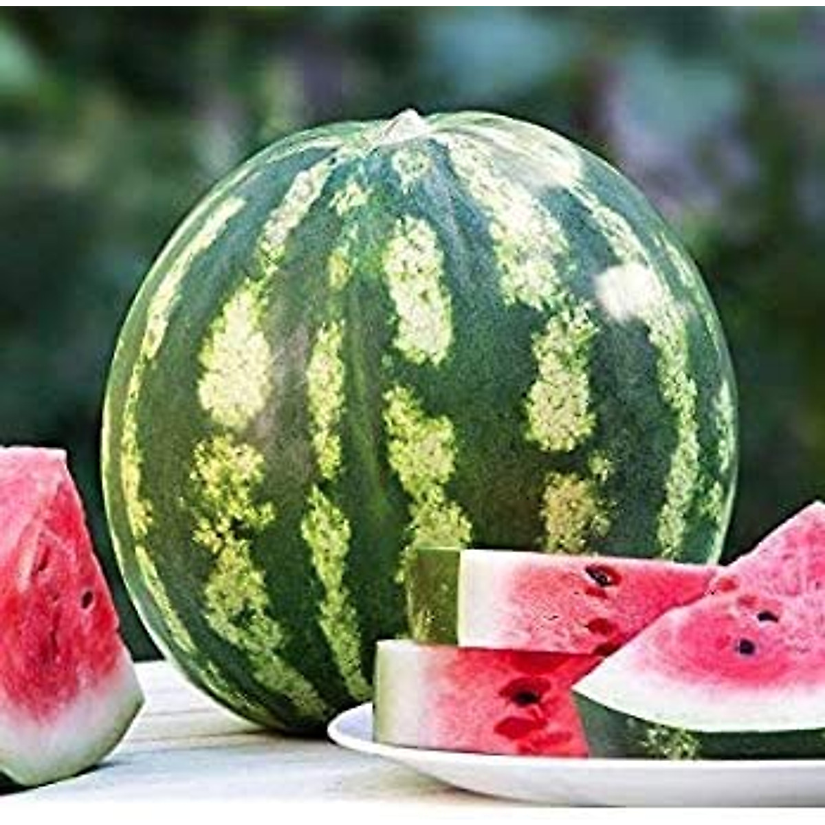 Crimson Sweet Watermelon Seeds for Planting, 150+ Heirloom Seeds Per Packet, (Isla's Garden Seeds), Non GMO Seeds, Botanical Name: Citrullus lanatus 'Crimson Sweet', Great Home Garden Gift