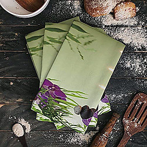 Kitchen Towels Set Zen Spa Dish Towel Butterfly Orchid Zen Basalt Stones Candle Purple Hand Towel 2 Pack Absorbent Soft Cotton Dishcloths Bar Towels & Tea Towels