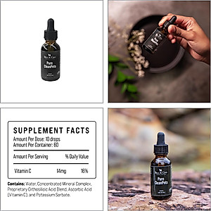 BILL & COO Pure Clean Pets Probiotics for Dogs, Inspired by CleanSlate, Immune Support Supplement Designed for Pets Environmental Toxins and Heavy Metals, Vitamin C Immunity Supplement for Pets 30ml