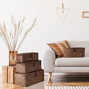 Woanger Set of 4 Seagrass Storage Bins with Lid Wicker Storage Baskets Organizer for Organizing, Woven Bins Home Utility Box for Home Office Supplies(Coffee)