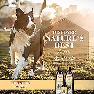 Burt's Bees for Pets Care Plus+ Naturally Derived Deep Cleansing Charcoal & Coconut Oil Shampoo - Dog Shampoo to Naturally Derivedly Purify and Replenish Dog's Skin & Coat - Made in USA, 16 Oz