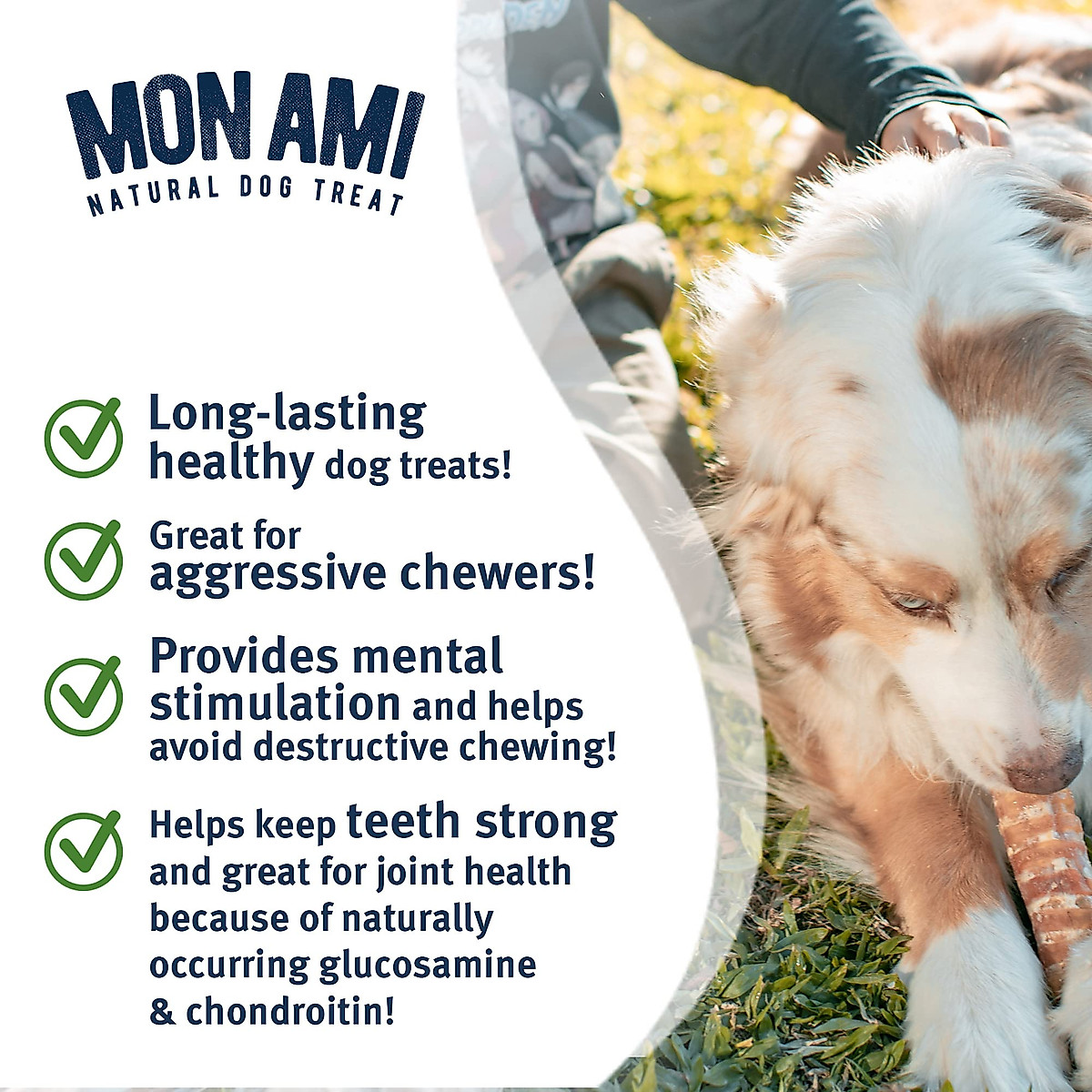 Mon Ami Beef Stuffed Trachea Dog Chews (6 inch, 9 Count) –Trachea Treats for Dogs Made from Grass Fed Beef with Glucosamine & Chondroitin – Natural Dog Treats & High Protein