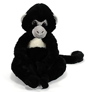 The Petting Zoo Spider Monkey Stuffed Animal Plushie, Gifts for Kids, Wild Onez Zoo Animals, Monkey Plush Toy, 12 inches