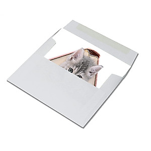 Small World Greetings Playful Kitten Cards 12 Count - Blank Inside with Envelopes - A2 Size (5.5”x4.25”) - Cat Stationery - All Occasion, Thank You, Birthday, and More
