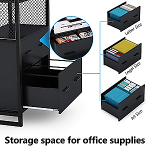 Tribesigns 2 Drawer File Cabinet with Bookshelf, Modern Vertical Filing Cabinet for Letter/Legal/A4 Size File, Large Printer Stand with Open Storage Shelves for Home Office, Black