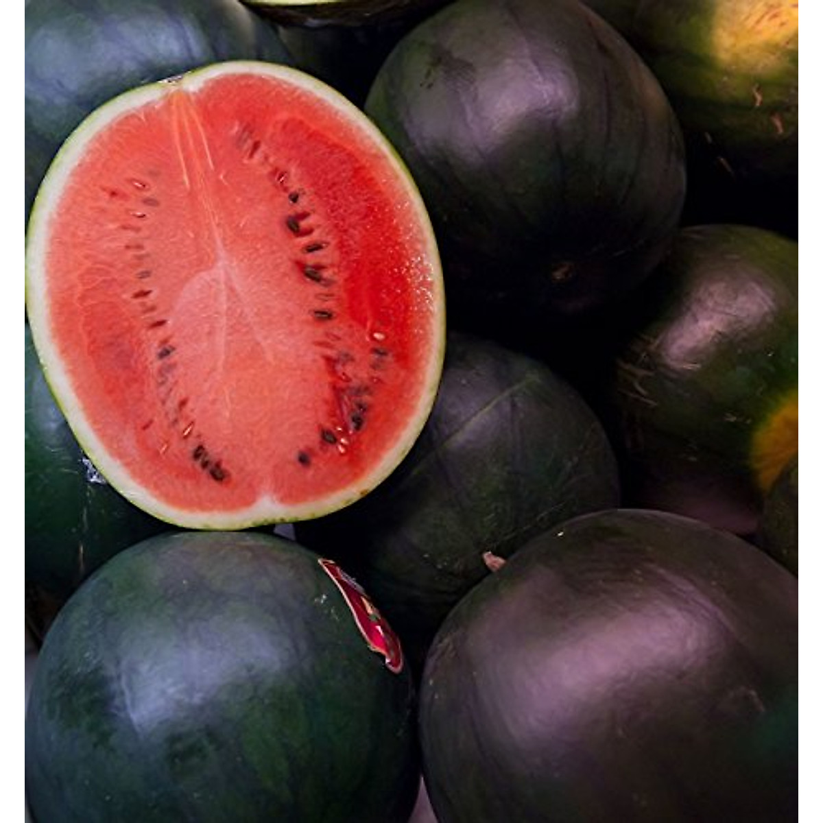 50 Black Diamond Watermelon Seeds for Planting - Heirloom Non-GMO Fruit Seeds for Planting - Grows Big Giant Watermelons Averaging 30-50 lbs