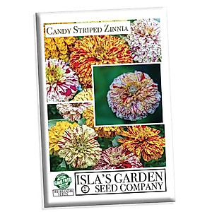"Candy Stripe Mix" Zinnia Seeds for Planting, 50+ Flower Seeds Per Packet, (Isla's Garden Seeds), Non GMO & Heirloom Seeds, Botanical Name: Zinnia elegans, Great Home Garden Gift