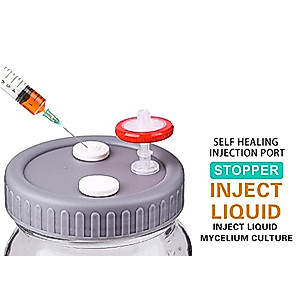 Eleganttime 8Pcs Wide Mouth Liquid Culture Lids,Cultivation Mason Jar Lid with 0.22um PTFE Syringe Filter & 20mm Self Healing Injection Ports For Mushroom(Grey)