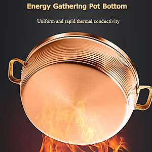 GRIPITHPY Stainless Steel Moroccan Tagine Pot, Large Moroccan Tajine Casserole with Cone-Shaped Lid, Non Stick Tagine Cooking Pot with 2 Handles(30cm/11.8in, Gold)