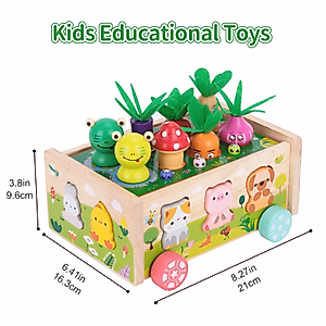 KMTJT Montessori Wooden Toddler Toys for 1 2 3 Years Old Boys Girls, Shape Sorting Toys First Birthday Gifts for 1-2 Years, Wood Animal Farm Car Preschool Educational Fine Motor Skills Toy