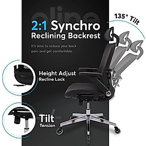 Office Chair, High Back Ergonomic Desk Chair, Breathable Mesh Desk Chair with Adjustable Lumbar Support and Headrest, Swivel Task Chair with Armrests, Executive Chair for Home Office (Black)