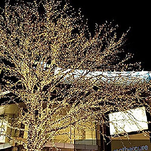 JLTX Solar Garden Lights,LED Solar String Lights, Solar Fairy Lights with 8 Modes, Waterproof Solar Lights Outdoor for Tree, Garden, Home, Wedding, Party