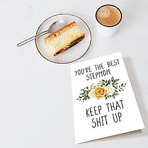 Funny Stepmom Greeting Card Gift, Mother's Day Card for Stepmom, Stepmom Birthday Card, Best Stepmom Card