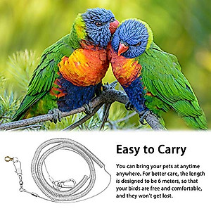 Bird Harness Leash, Ultra-Light Bird Training Leash, Portable Parrot Harness, Outdoor Training Rope with Leg Ring Pet Supplies(3.5mm)