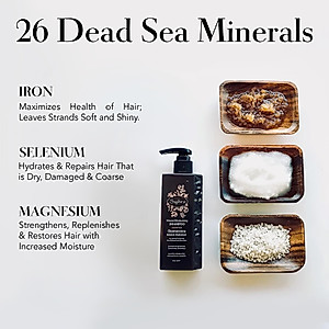 Saphira Mineral Moisturizing Shampoo, Hydration and Shine for Dry, Damaged, Permed or Chemically Treated Hair and Scalp, Sulfate-Free, Paraben-Free, Vegan, Prevents Frizz and Split Ends, 8.5 Ounce