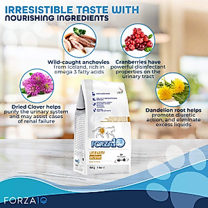 Forza10 Active Dry Cat Food Urinary Tract Health, Fish Flavor Urinary Tract Cat Food, Adult Cats Urinary Cat Food, 2 Pound Bag Urinary Tract Cat Food Dry