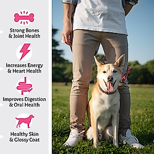 Healthy Bite 12 in 1 Multivitamin for Dogs - Dog Skin and Coat Supplement, Immune Support for Dogs, Pet Vitamins Dogs, Calcium for Dogs, Vitamin for Dogs Made in USA - 120 Count