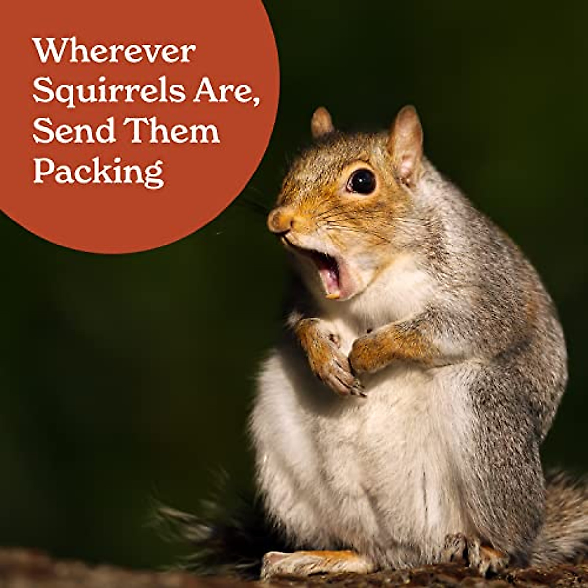 Vine Homecare - Squirrel Control Spray - Natural, Non-Toxic Squirrel Repellent - Quick, Easy Pest Control - Safe for Use Around Children and Pets - Made with Essential Oils - 32 OZ