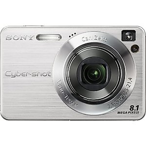 Sony Cyber-shot DSC-W130 8.1MP Digital Camera with 4x Optical Zoom with Super Steady Shot (Silver)