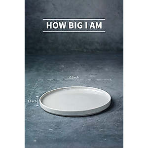 famiware Nebula 6 Pieces Dinner Plates, 10.2" Plates Set, Scratch Resistant, Stoneware Dinnerware, Kitchen Modern Rustic Dishes, Light Gray