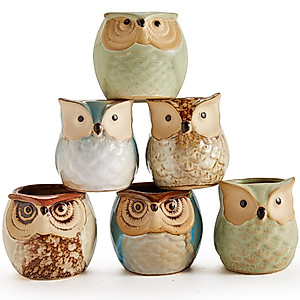 SUN-E SE Owl Pot Ceramic Flowing Glaze Base Serial Set Succulent Plant Pot Cactus Plant Pot Flower Pot Container Planter with Drainage Hole Home Office Desk Garden Gift Idea 6pcs 2.5 Inch