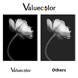 Valuecolor Compatible Toner Cartridge Replacement for Canon 137 crg137 Used in Canon ImageClass MF216N MF227DW MF229DW MF212W MF217W MF249dw MF244dw LBP151dw MF236n MF247dw (2 Black)