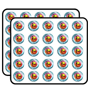 Puerto Vallarta Mexico Swim Boat Kayak Water Ski Surf Travel Sticker for Scrapbooking, Calendars, Arts, Kids DIY Crafts, Album, Bullet Journals 50 Pack