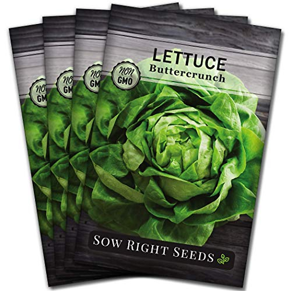 Sow Right Seeds - Buttercrunch Lettuce Seed for Planting - Non-GMO Heirloom Packet with Instructions to Plant a Home Vegetable Garden, Indoors or Outdoor; Great Gardening Gift (4)