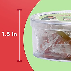 Preggie Pop Drops Plus | 21 Drops | Vitamin B6 for Morning Sickness & Nausea Relief during pregnancy | Safe for pregnant Mom & Baby | Gluten Free | Two Flavors: Lemon & Raspberry