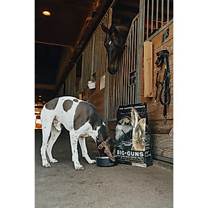 Old Guard Pet Company Big Guns Adult Large Breed Chicken