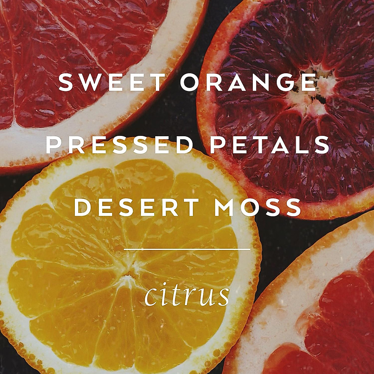 TOKYOMILK Dark Everything & Nothing Eau de Parfum | Daring, Provocative Perfume | Intoxicating, Alluring Fragrance Notes Form a Unique, Sensory Experience | 1.6 fl oz / 47.3 ml