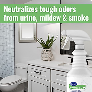 Diversey Good Sense Rtu Liquid Odor Counteractant, Apple Scent, 32 Oz Spray Bottle