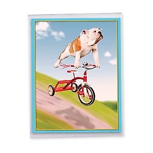 NobleWorks Big Humorous Birthday Greeting Card From Us 8.5 x 11 Inch with Envelope (1 Pack) Big, Jumbo Bday Dog On Trike J3204BDG-US