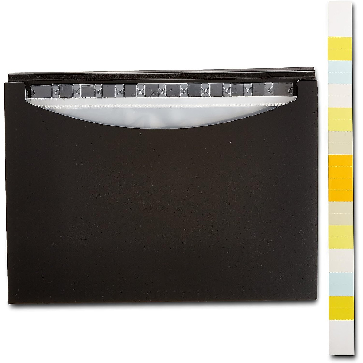 Amazon Basics Expanding Organizer File Folder, Letter Size - Black, 1-Pack