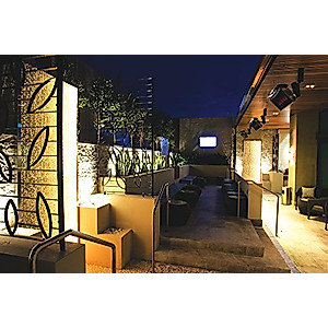 Bromic Heating BH0110003-1 Smart-Heat Platinum 500 Radiant Infrared Patio Heater, Natural Gas, 39800 BTU