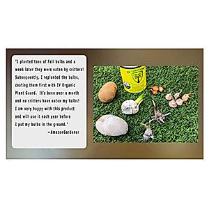 IV Organic 3-in-1 Plant Guard, 1 Pint (WHITE)