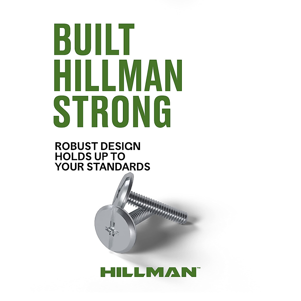 Hillman Combo Sidewalk Bolt, Hurricane Hardware, 100 Pieces, Rust-Resistant, Durable, Truss Head, (1/4" x 2") Stainless Steel (831494)