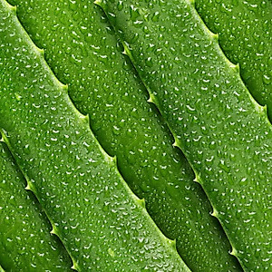 Mario Badescu Aloe Vera Toner for Dry and Sensitive Skin | Soothing Facial Toner that Hydrates and Balances| Formulated with Aloe Vera| 8 FL OZ (Pack of 1)