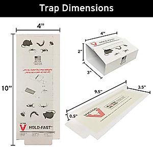 Victor M309 Mouse and Crawling Insect Sticky Glue Board Traps - 72 Pack