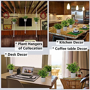 mizii 3 Pack Mini Potted Artificial Plants w/ 3 Plant Hangers,Eucalyptus Rosemary Fake Leaves Green for Indoor Home Room Shelf Kitchen Balcony Garden Wedding Decor