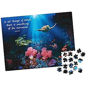 300-Piece Calm Jigsaw Puzzle for Relaxation, Stress Relief, and Mood Elevation, for Adults and Kids Ages 8 and up, Calm Coral