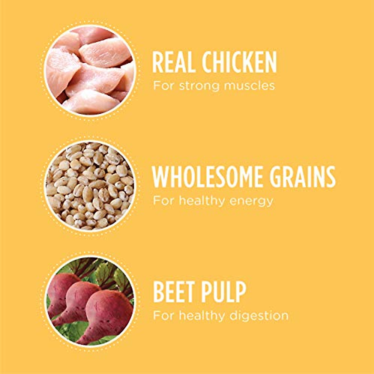 IAMS Smart Puppy Dry Dog Food with Real Chicken, 15 lb. Bag